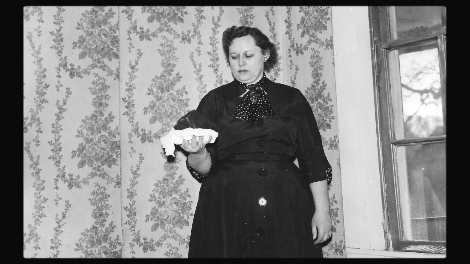 Ann Hodges: The Woman That Was Hit By A Meteorite (2021) – Jelle Havermans